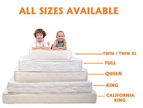 Elegant Comfort Ultra-Soft Double Brushed 6-Piece Microfiber Sheet Set Beautiful Tropical Patterns, and Vibrant Solid Colors, Luxury, All-Season Bed Sheet Set - Palm Leaves, Queen