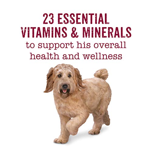 Beneful Purina High Protein Wet Dog Food Variety Pack, Prepared Meals & Chopped Blends - (16) 10 oz. Tubs