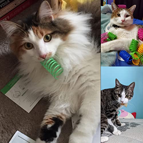 ISMARTEN Cat Spring Toys Pet Wide Plastic Colorful Springs Cat Toys for Cat Kitten Pets (Random Color) (10pcs)
