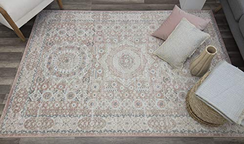 Rugs America Harper HY60A Pink Lemonade Transitional Vintage Area Rug, 5'x7'