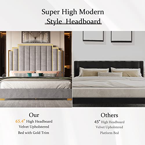 Albott King Size Platform Bed Frame, 65" Velvet Upholstered Bed with Gold Trim Headboard/Wooden Slats/No Box Spring Needed/Grey