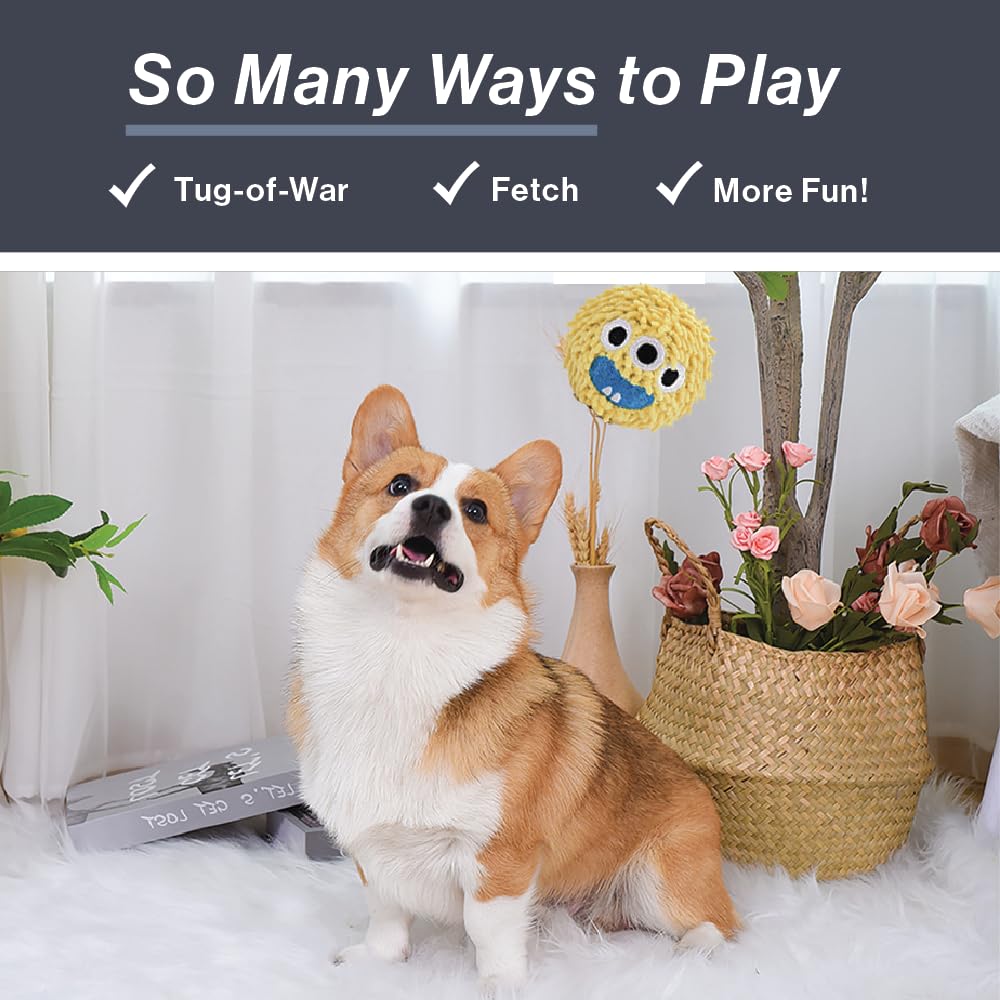HugSmart Pet – Spiky Monster Dog Balls (3-Pack) | Plush Squeaky Ball for Dogs, Small, Medium Breeds |No Stuffing, Interactive Fetch, Squeaky Dog Toys for Aggressive Chewers, Designed in Canada