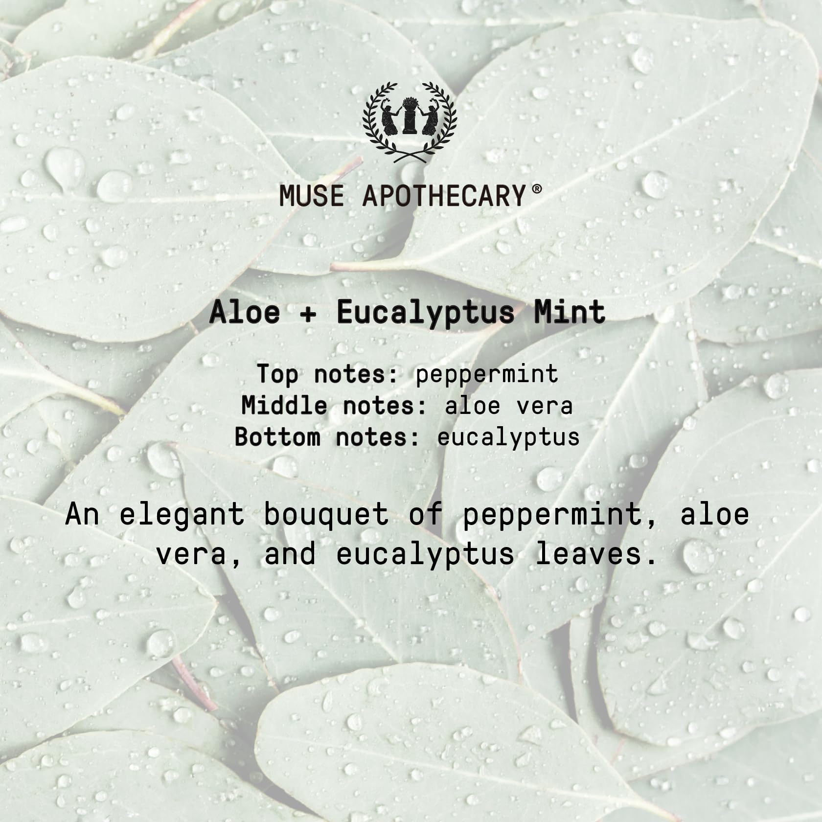 Muse Apothecary Study Ritual - Aromatic and Invigorating Room Mist, 8 oz, Infused with Natural Essential Oils - Aloe + Eucalyptus Mint