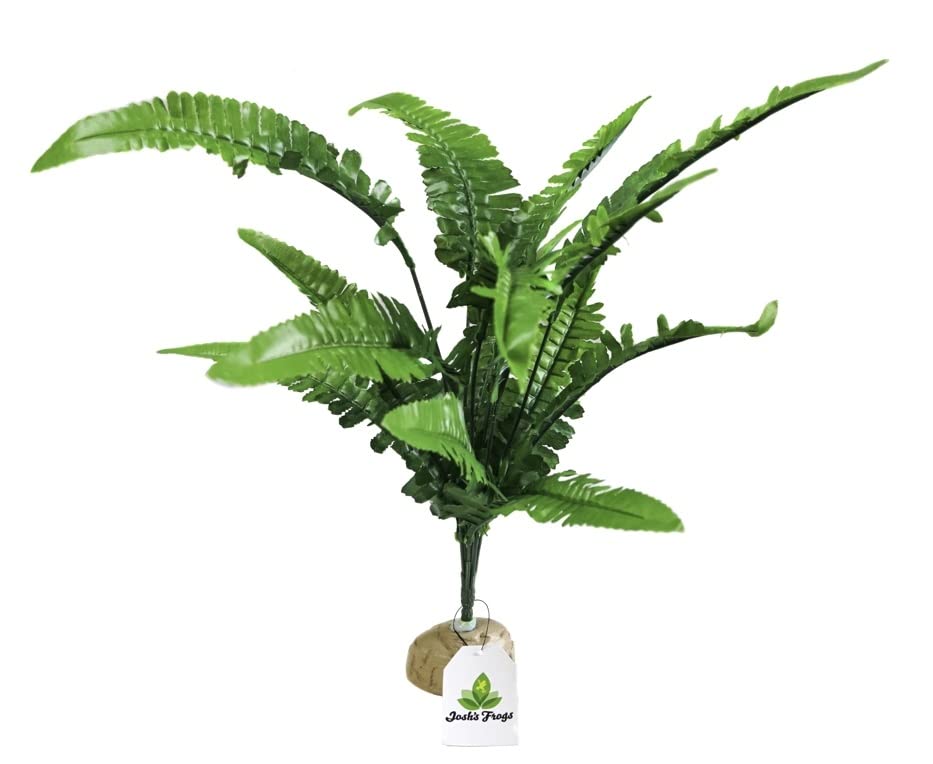Josh's Frogs Tropical Artificial Reptile and Amphibian Plants (Fern)