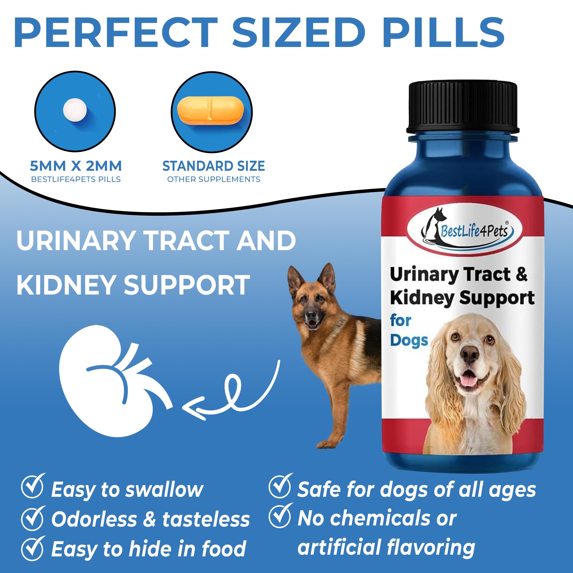 BestLife4Pets Dog UTI Kidney Support - Natural Urinary Tract Infection Treatment β Renal and Bladder Control Supplement β Easy to Use Pills (2 Pack)
