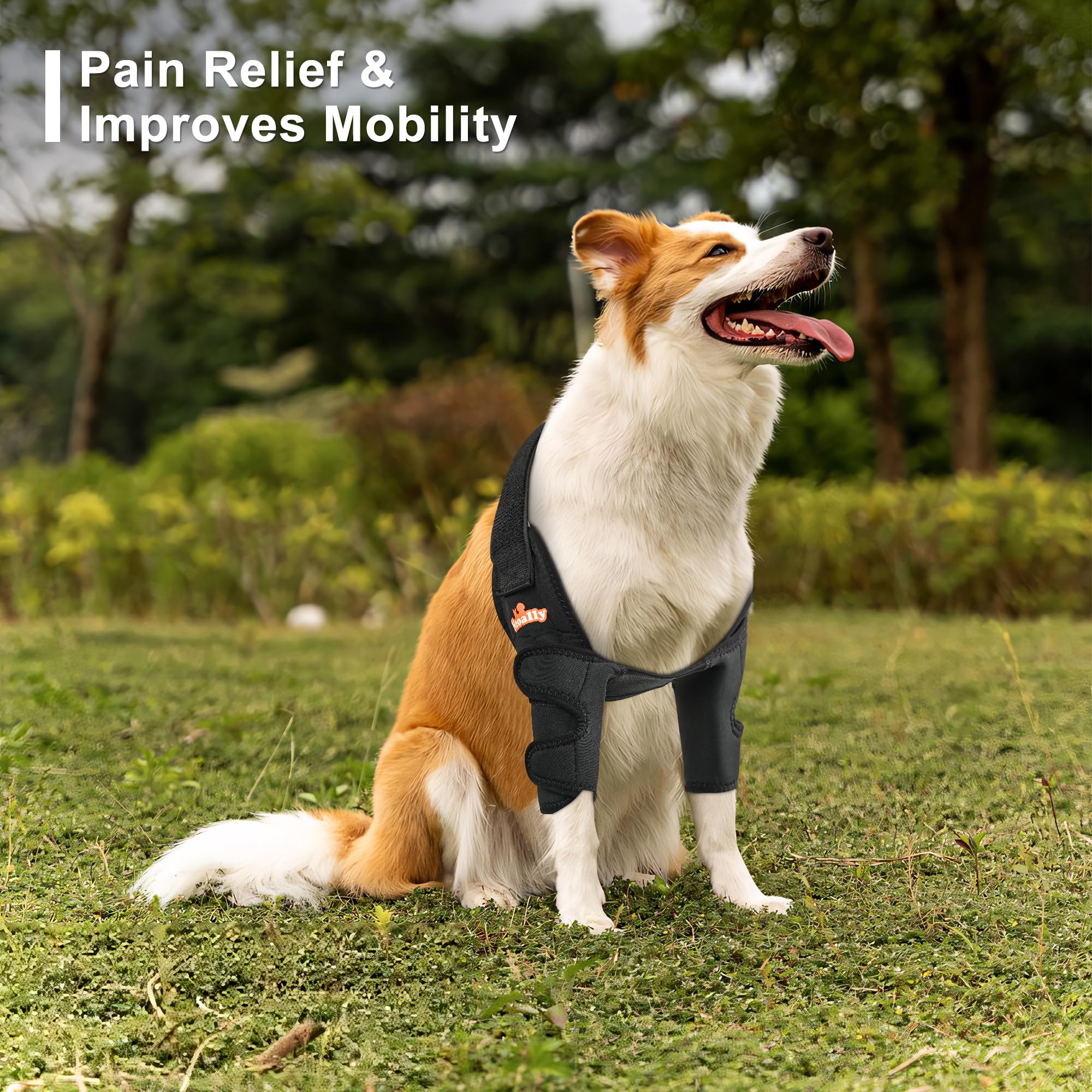 NeoAlly Breathable Dog Elbow Brace Protector Pads for Canine Elbow and Shoulder Support Elbow Hygroma, Dysplasia, Osteoarthritis, Elbow Calluses, Pressure Sores and Shoulder Dislocation (Right Large)