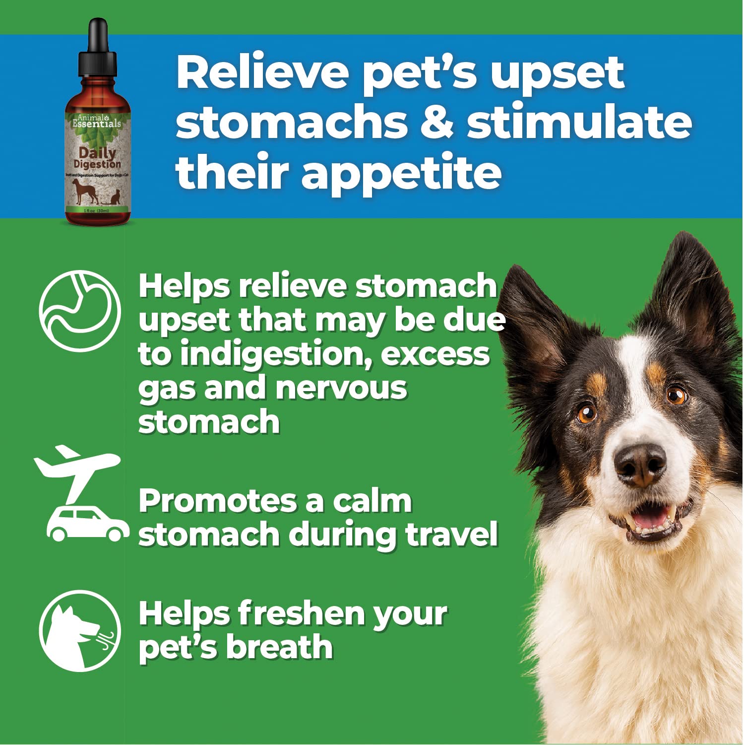 Animal Essentials Daily Digestion for Dogs & Cats - Digestive Support, Fresh Breath, Ginger Root, Fennel Seed Extract, Liquid Supplement - 2 Fl Oz