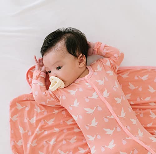 KicKee Welcome Home Footie with Zipper, Boy or Girl One-Piece, Super Soft Baby Clothes (Spring Sky Stork - 0-3 Months)