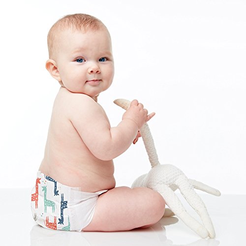 The Honest Company Diapers - Newborn Diapers, Size 0 - Multi-Giraffe Print | TrueAbsorb Technology | Plant-Derived Materials | Hypoallergenic | 128 Count