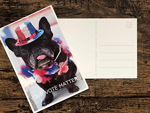 Postcards to Voters - 150 Pack (Your Vote Matters)