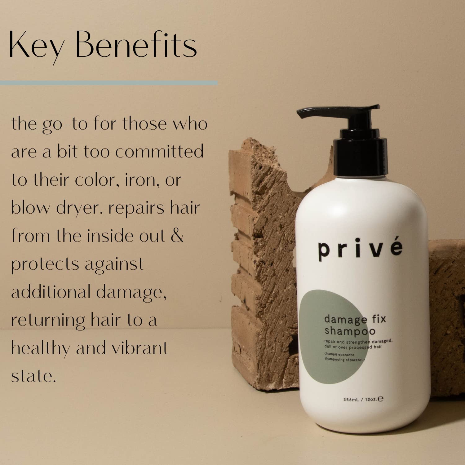Prive Damage Fix Shampoo – Repair and Strengthen Damaged, Dull or Over Processed Hair from Within Natural Ingredients Vegan Cruelty-Free Color-Safe 12oz