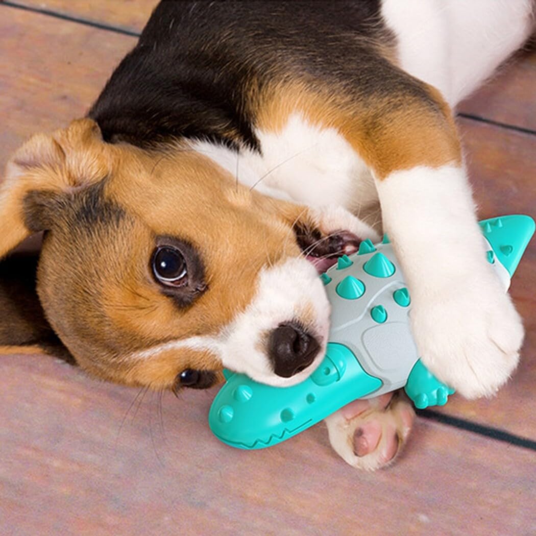 Kapmore Puppies Molar Training Interactive Durable Portable Tough Funny Reusable Toy Pet Toothbrush Chew for Cute Dog Dental