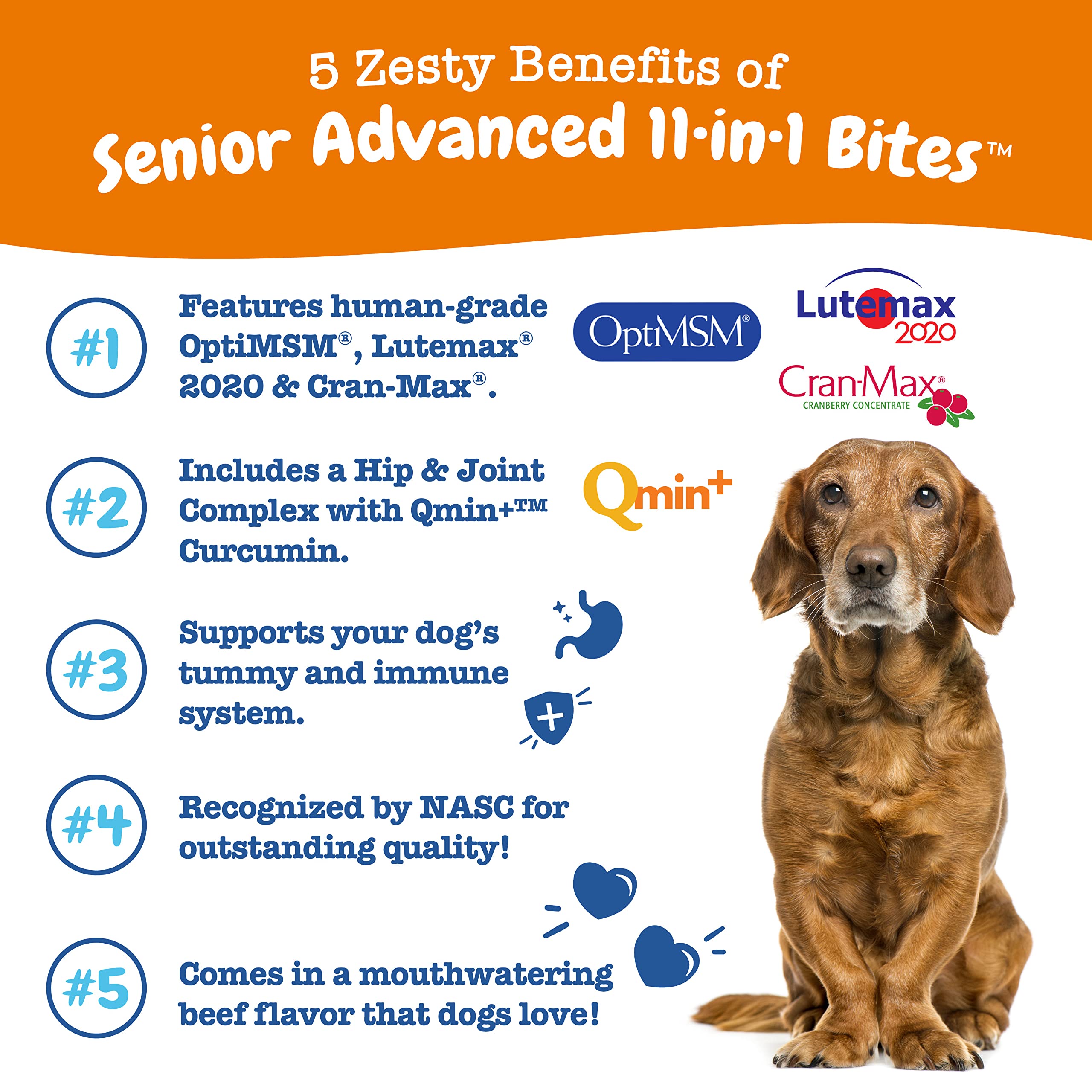 Allergy Immune Supplement for Dogs - with Omega 3 Wild Alaskan Salmon Fish Oil + Senior Advanced Multifunctional Supplement for Dogs β Glucosamine & Chondroitin