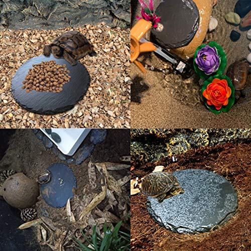 Tfwadmx Reptile Basking Platform,Tortoise Rock Slate Plate Feeding Platform Food Bowl Dish Turtle Bathing Rock Resting Terrace for Lizard Bearded Dragon Chameleon Gecko Snake Frog Newt