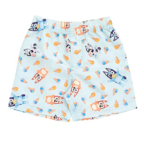 Bluey Bingo Toddler Boys Hawaiian Button Down Shirt and Shorts 3T