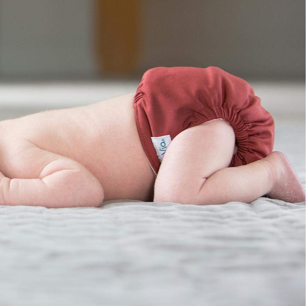 GroVia Newborn All in One Snap Reusable Cloth Diaper (AIO) (Petal)