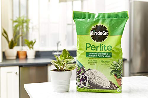 Scotts Perlite, 8 qt., 2-Pack