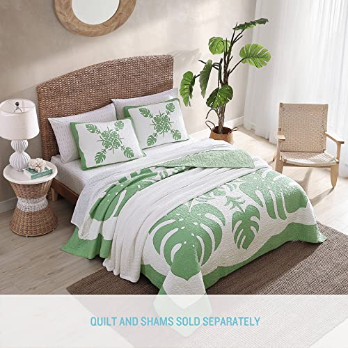 Tommy Bahama - Standard Sham, Cotton Bedding with Envelope Closure, Breathable Home Decor (Molokai Green, 21x27)