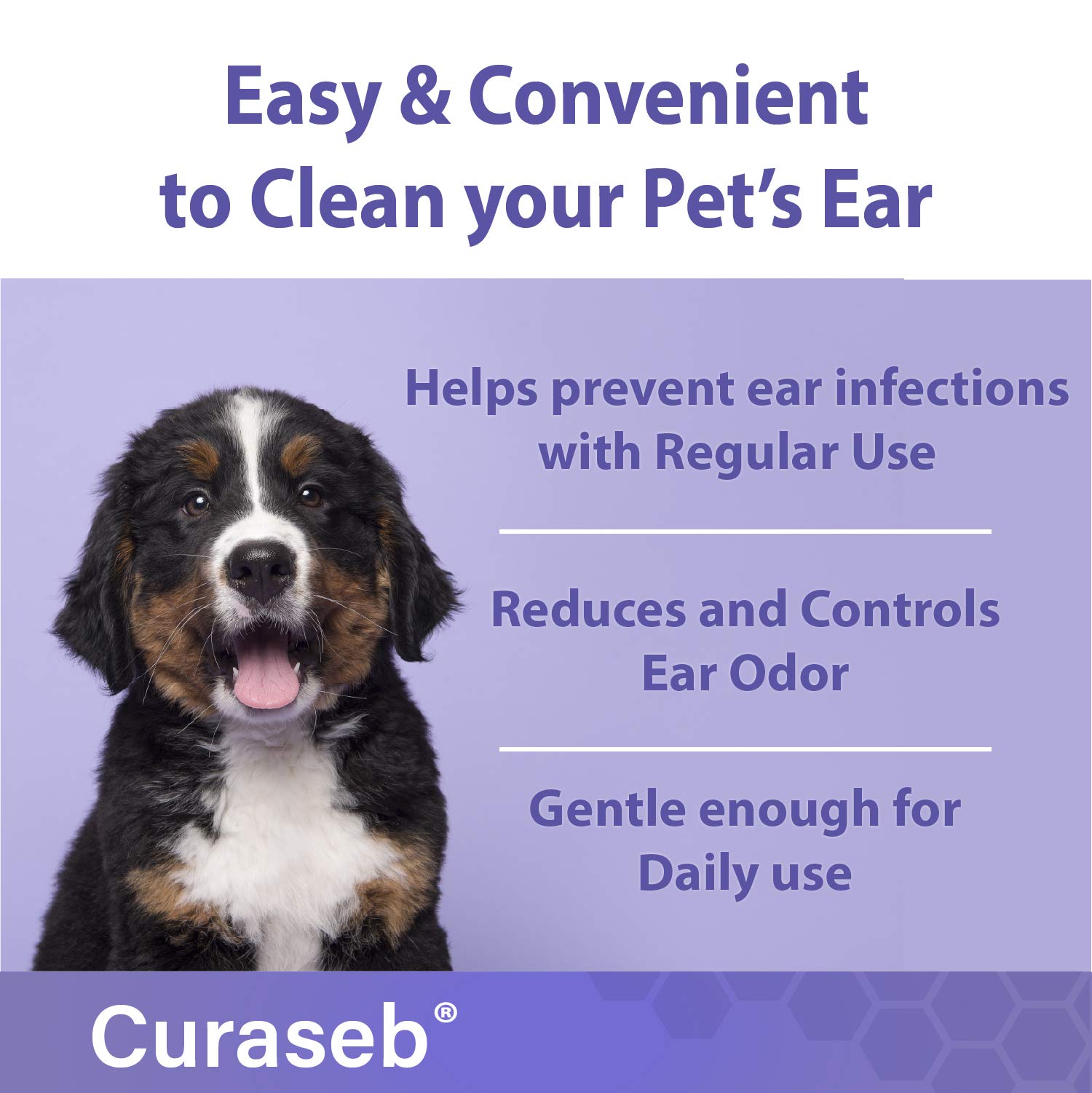 BEXLEY LABS Curaseb Dog Ear Cleaner Solution β Washes Away Debris, Odors and Supports Healthy Ear Health β No Sting Formula, 8oz