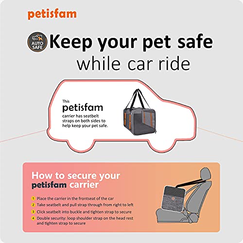 Top Load Soft Pet Carrier for Large and Medium Cats, 2 Kitties. Sturdy, Well-Ventilated, Cozy, Collapsible, Easy to get cat in