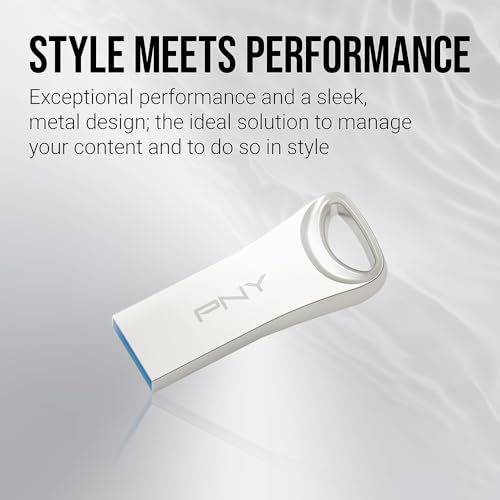 PNY 512GB Elite-X USB 3.2 Flash Drive - 220MB/s, Durable Premium Metal Housing, for Storing, Sharing, and Protecting Important Content, P-FDI512ELTX-GE, Silver
