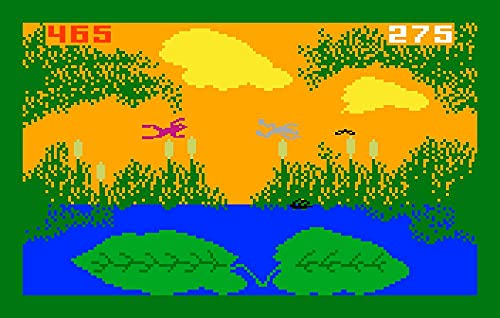 Blaze Evercade Intellivision Cartridge 1 - Nintendo DS