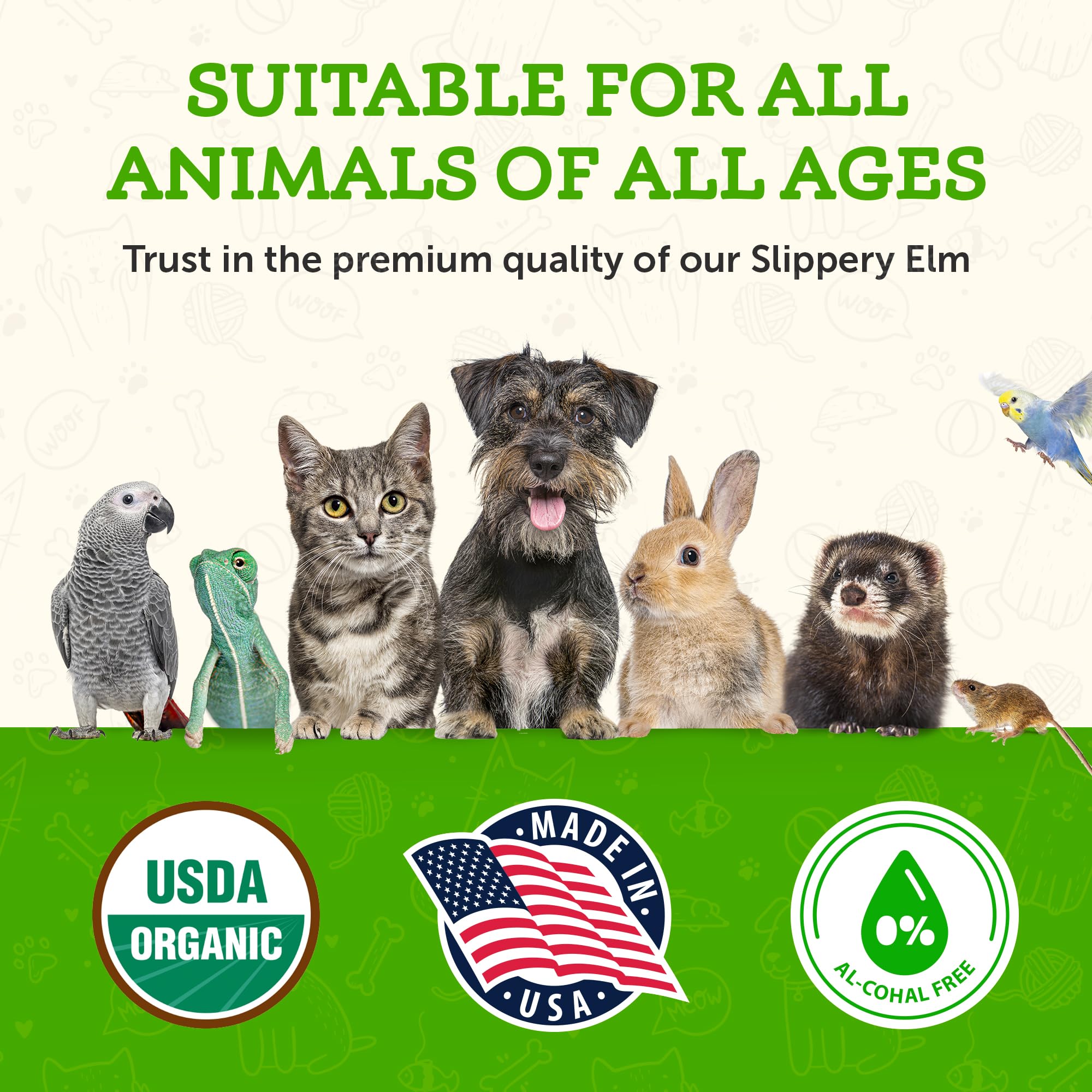 Animal Essentials Slippery Elm - Herbal Extract for Dogs and Cats, Promotes Healthy Digestion, Bowel Function, Certified Organic Herbs, All Natural, Respiratory Health, Liquid Formula - 1 Fl Oz