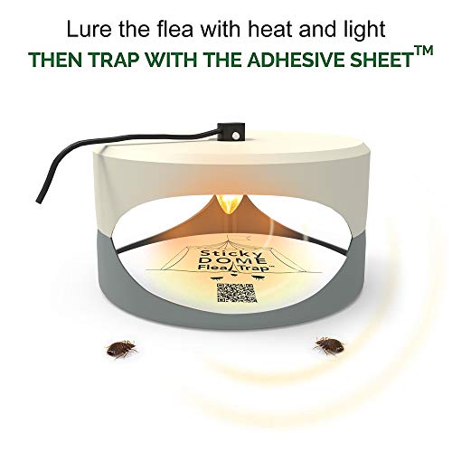 ASPECTEK Trapest Sticky Dome Flea Bed Bug Trap with 2 Glue Discs, Odorless Non-Poisonous and Natural Flea Killer Trap Pad, Pets, Children and Family Friendly, 220V Flea Trap