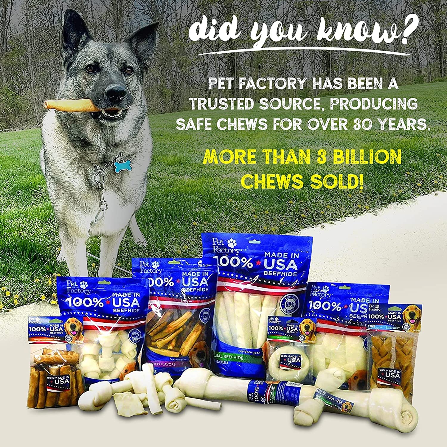 Pet Factory 100% Made in USA Beefhide 5" Chip Rolls Dog Chew Treats - Peanut Butter Flavor, 20 Count/1 Pack