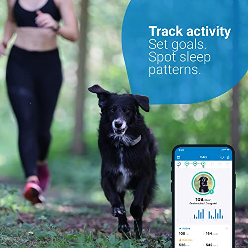 tractive GPS Pet Tracker for Dogs - Waterproof, GPS Location & Smart Activity Tracker, Unlimited Range, Works with Any Collar (Coffee), Beige, 3 Piece Set