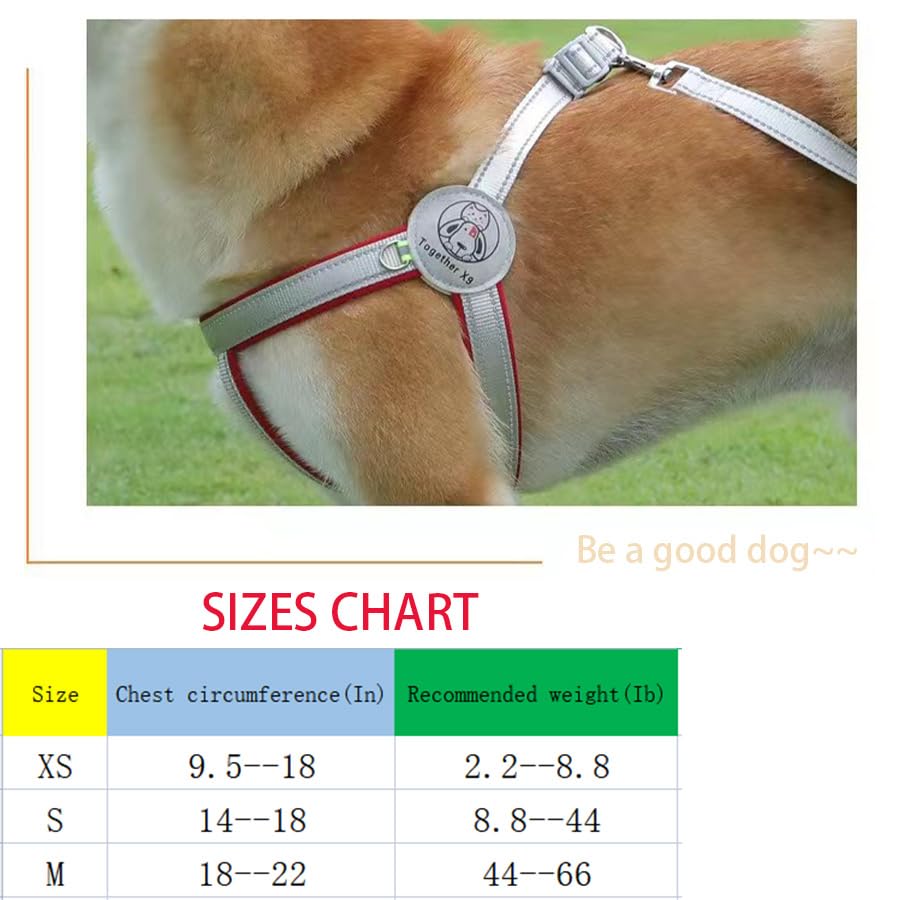 AILEVERS Easy Walk Dog Harness - No Pull Dog Harness，Dog Harness Collar and Leash Set Step in Pet Harness for Small Medium Dogs and Cats Outdoor Walking Running， Dog Vest Harnesses (Pink, XS)