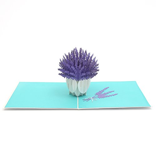 Liif Lavender Blooms Pop Up Card, 3D Flower Greeting Card, Pop Up Card for All Occasions, Birthday, Mother's Day, Anniversary, Wedding, Congratulations, Get Well Card, Handmade Gift