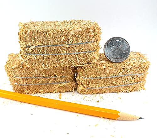 Meyer Imports Mini Hay Bales - Small - (Pack of 3) Small Decorative Hay β for Craft/Dollhouse/Farm/Halloween/Table Decoration - 2.5 x 1 Inches Each