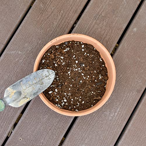 Anthurium Plant Potting Soil Mix (4 Quarts), Indoor Houseplant Custom Blend for Flowering Anthuriums