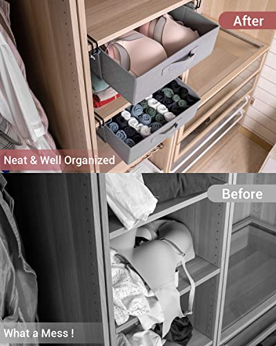 BRUINAGORA Closet Organizers and Storage, Closet Pullout Drawer, Under Shelf Storage Organizer, Adjustable Clips for Underwear, Bra, Lingerie, Panties, Undies, Grey/2 Pack