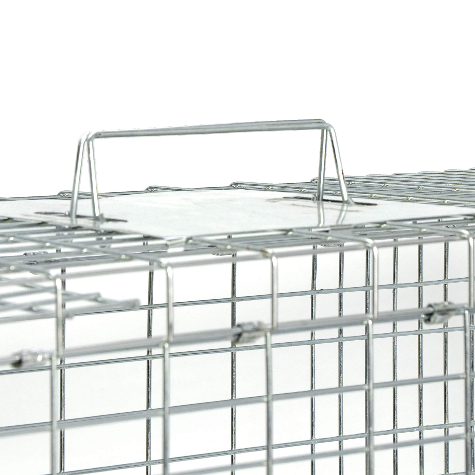 ANT MARCH Live Animal Cage Trap 32"x11.5"x13" Steel Humane Release Rodent Cage for Rabbits, Stray Cat, Squirrel, Raccoon, Mole, Gopher, Chicken, Opossum, Skunk, Chipmunks, Groundhog