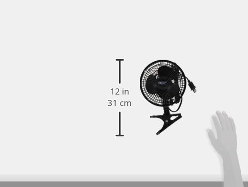 Comfort Zone CZ6CBK 6" Quiet Portable Indoor 2-Speed Desk Fan with Clip and Fully Adjustable Tilt, Black