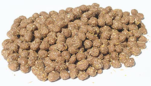 C&S Wild Bird Sunflower Suet Nuggets Mega Box, 8 Pounds