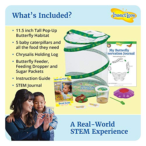 Butterfly Garden: Original Habitat and Live Cup of Caterpillars with STEM Butterfly Journal β Life Science & STEM Education β Butterfly Science Kit