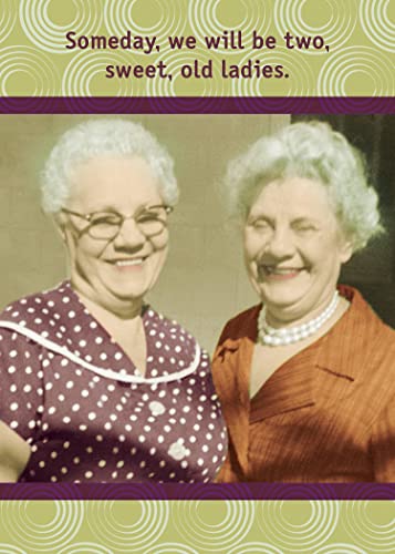 SHADE TREE GREETINGS Funny Women's Birthday Greeting Card (5" x 7") by Actual Pictures | 3 Pack + 3 Envelopes (Two Old Ladies)