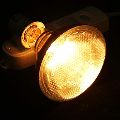 REALM-ARK 1Pc Pig Piglet Thick Heat Lamp Clear Hard Glass Explosion Proof Infrared Heating Lamp Waterproof Explosion-Proof Light Bulb Dot Surface(200W)