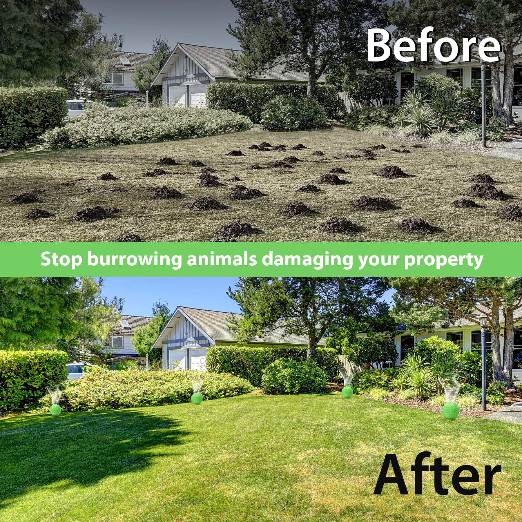 Homsor Mole Repellent for Lawns Castor Oil 10 Packs Gopher Repellent Groundhog Repellent Outdoor Pet Friendly Vole Deterrent Ball to Keep Mole Vole Gopher Groundhog Armadillo Away in Yard Garden