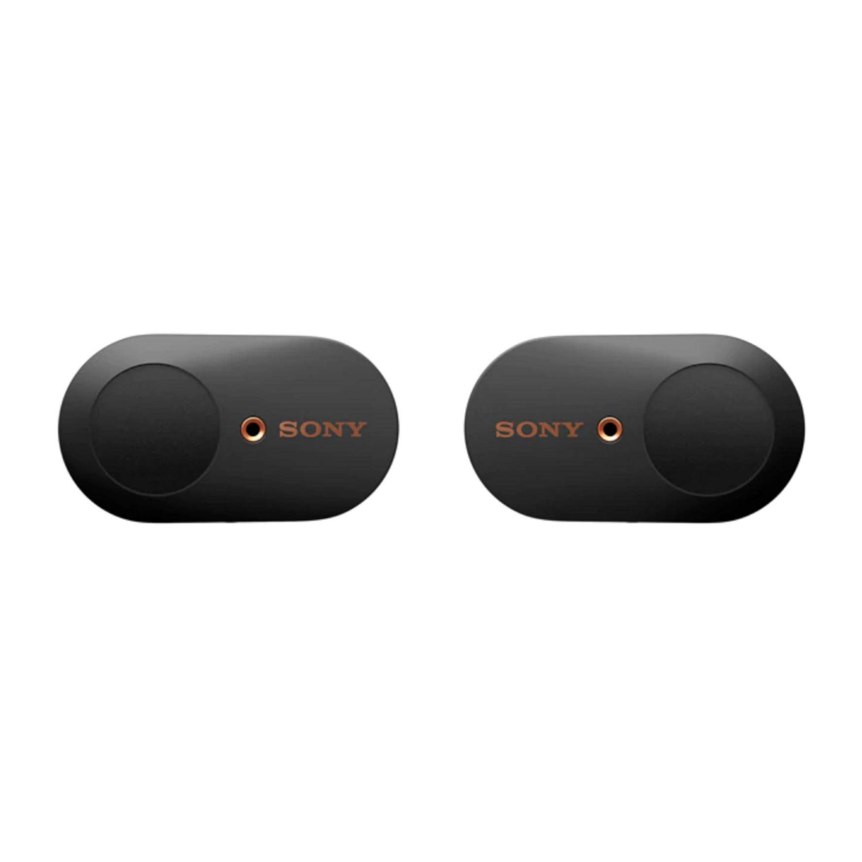 Sony WF-1000XM3 True Wireless Noise-Canceling Earbud Headphones (Black) SRS-XB21 Portable Wireless Speaker (2 Items)