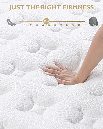 BedStory King Mattress - Made in USA - 14 Inch Hybrid Mattress Medium Feel, Individually Wrapped Coils for Pressure Relief & Motion Isolation, 80βx76βx14β
