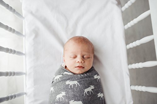 Copper Pearl Large Premium Knit Baby Swaddle Receiving Blanket Grey and White Moose Scout