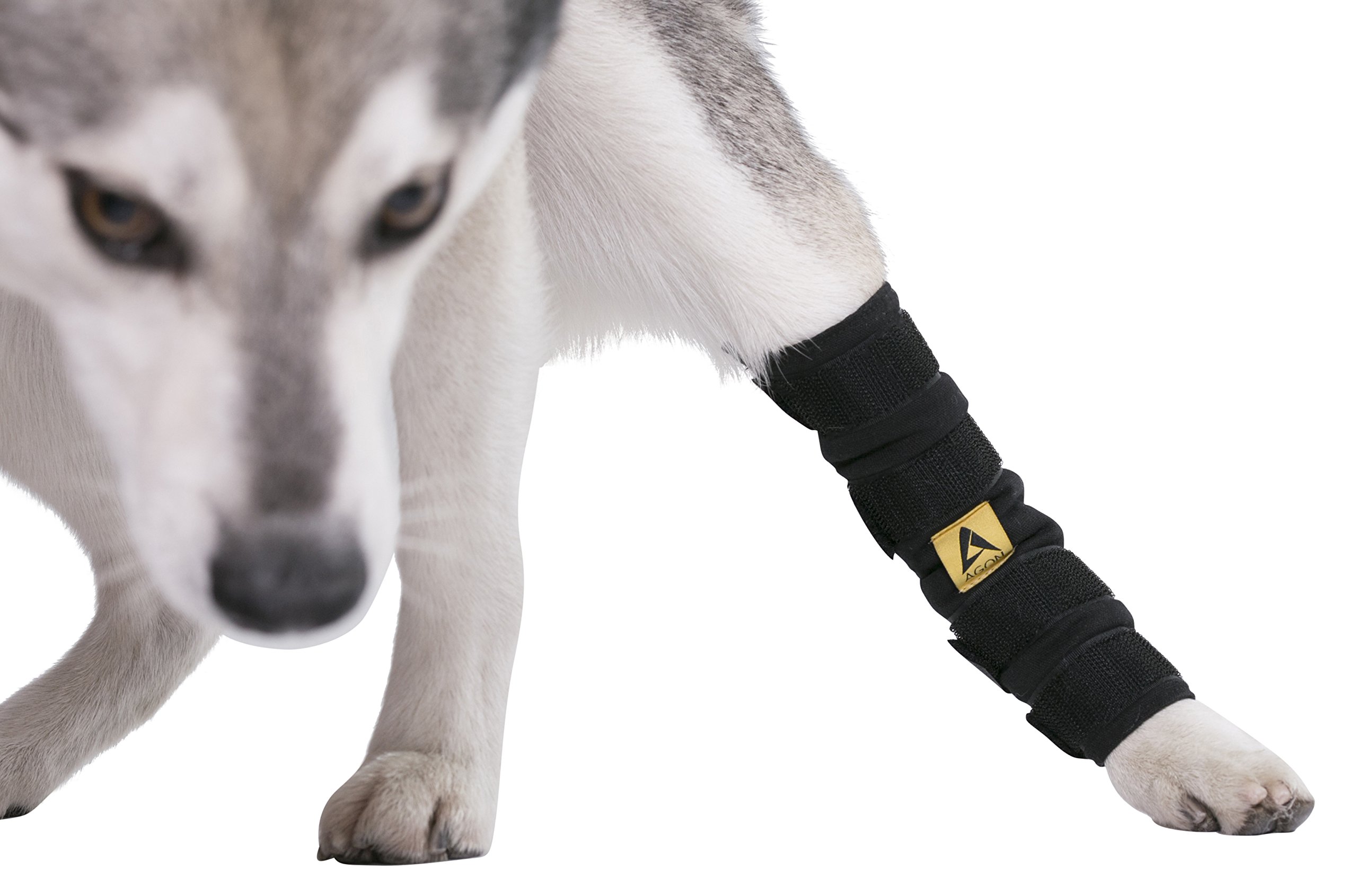 AGON® Dog Leg Braces for Back Leg wrap hock Compression Protects Wounds and Helps heal hind Legs Rear Ankle Joint, preventing Injuries, sprains Providing Stability for Dogs, Canines Arthritis (Small)