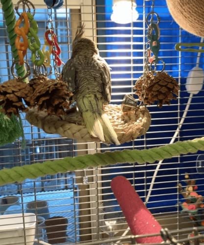 Bird Stand Perch U Shape Bird Perch Stand Toy,Hemp Rope Material Parrot Stand Platform Accessories Exercise Toys for Birds and Parrots Natural Bird Cage Toys Supplies for Small Medium Birds