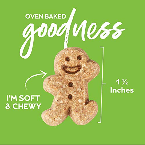 Buddy Biscuits Grain Free Soft & Chewy Dog Treats, Small Dog or Large Dogs Training, Healthy Roasted Chicken 5 oz.