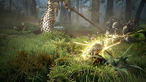 Black Desert Prestige Edition (Playstation 4)