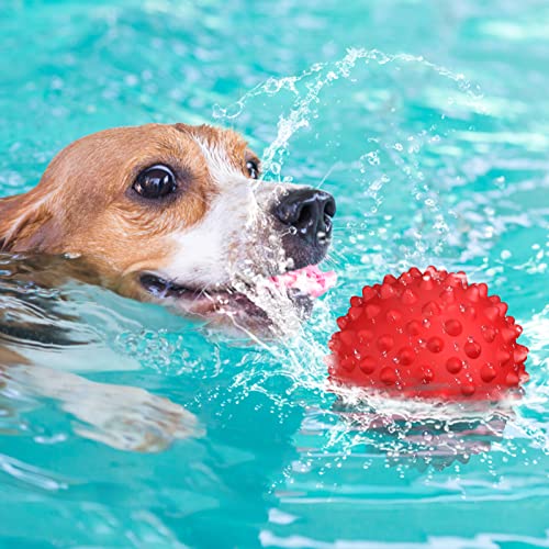 Apasiri ππ©π π«ππππ πππ«π¬π’π¨π§ Squeaky Toys for Large Dogs, Aggressive Chewers, Tough Spiky Ball Durable Floatable Rubber Pet Toys for Medium Breed